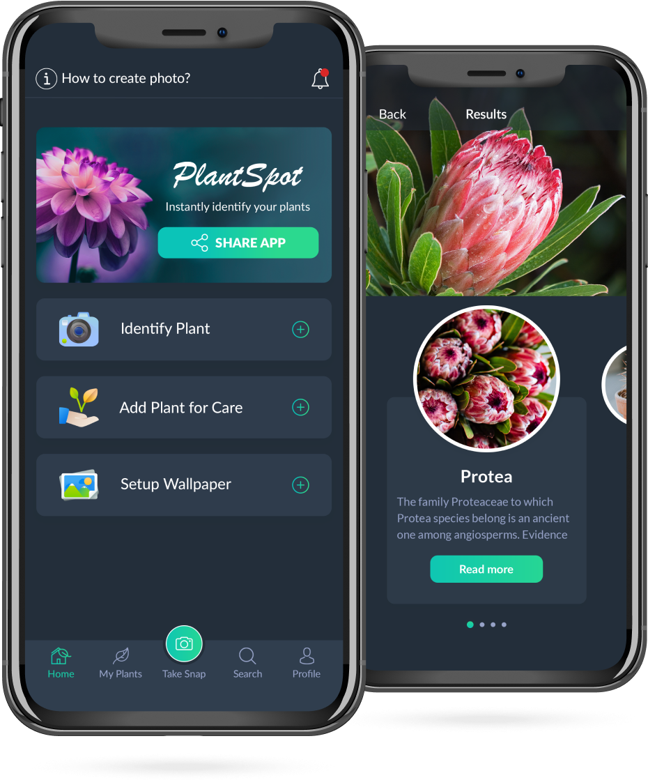 Plant Identifier App #1 - Plantidentification.co